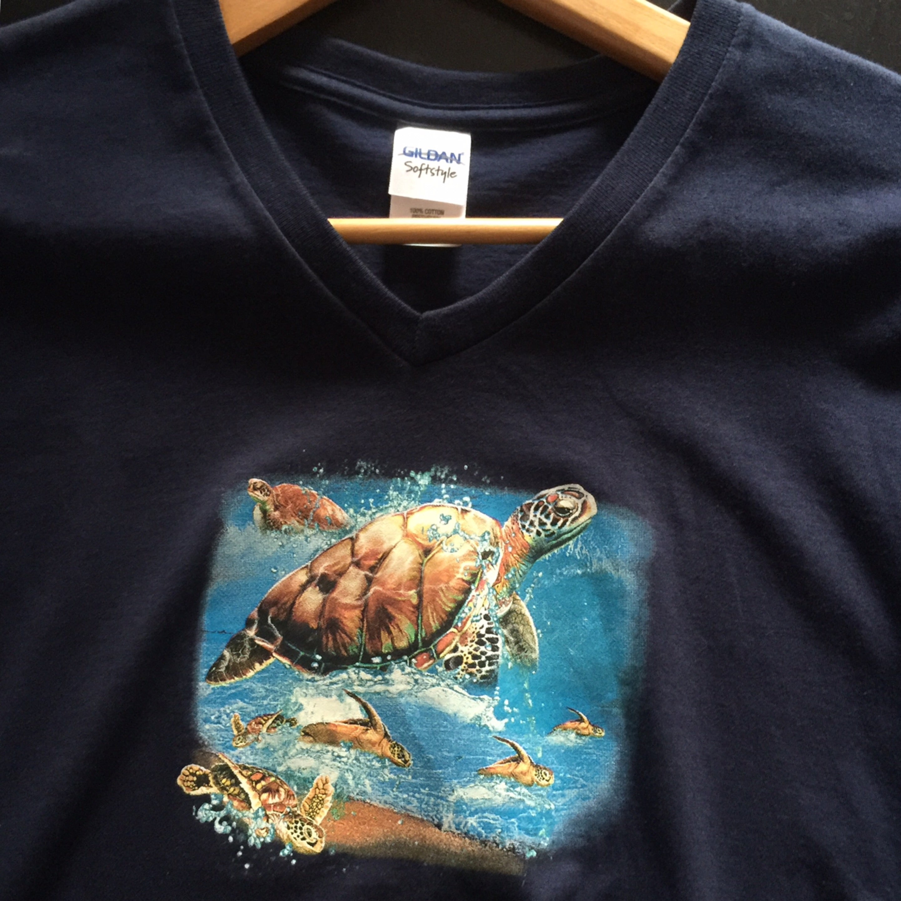 Turtle | Just In Print